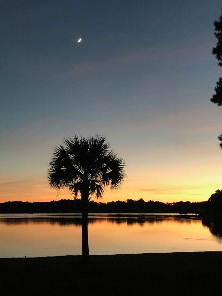 Why I Love Living on Lake Murray in SC - In My Own Style