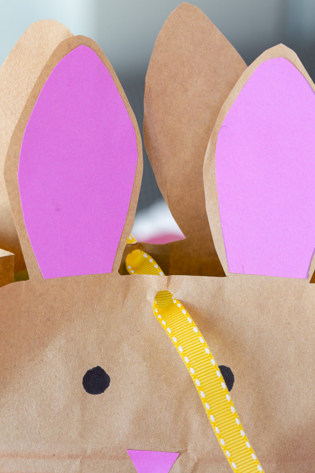 Easter Bunny Goodie Bag DIY - In My Own Style