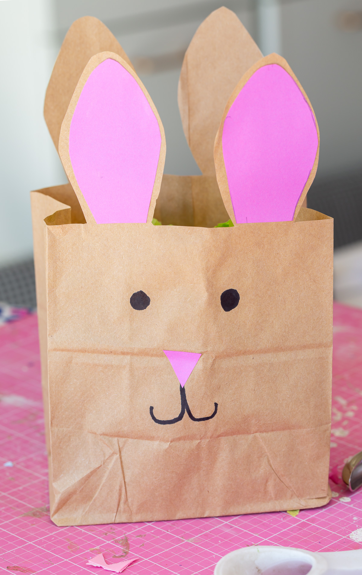 Easter Bunny Goodie Bag DIY - In My Own Style