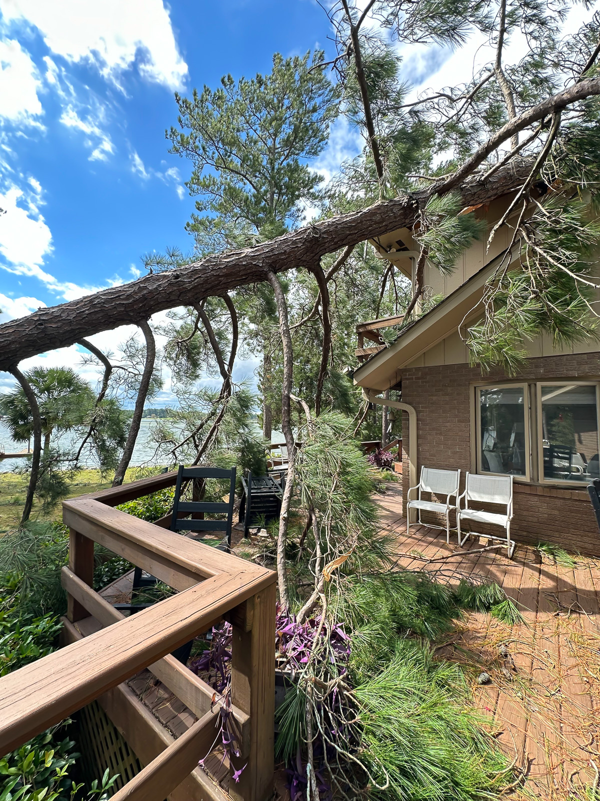 Style Scouting: Wait to You See What Hurricane Helene Did to My House ...